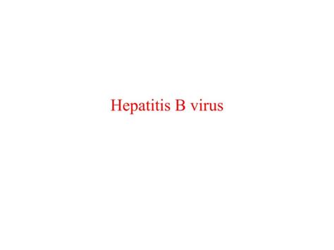 Hepatitis B Virusppt