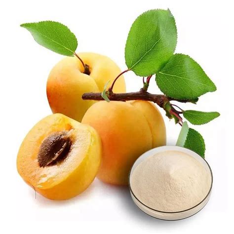 Apricot Powder Manufacturers Apricot Powder Suppliers And Exporters