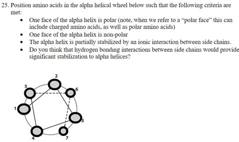Solved Position Amino Acids In The Alpha Helical Wheel Chegg