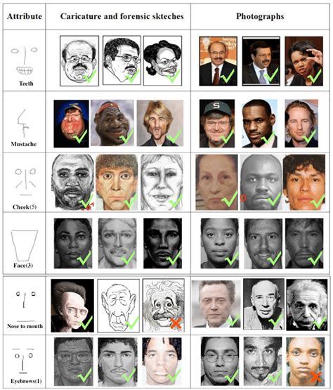 Illustration Of Detections For The Best Performing Attributes In Table Download Scientific