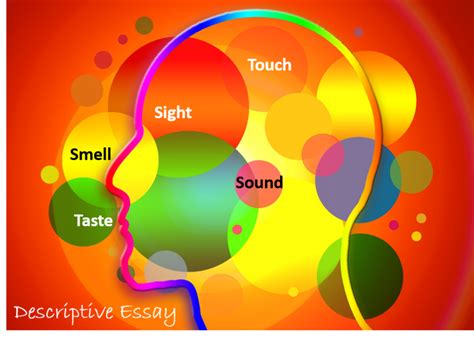 Descriptive Essay Excelsior Owl