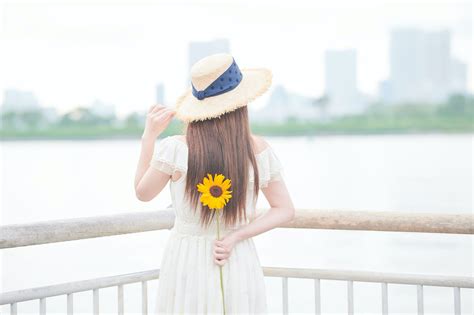 向日葵プリンセス オフィシャルホームページ