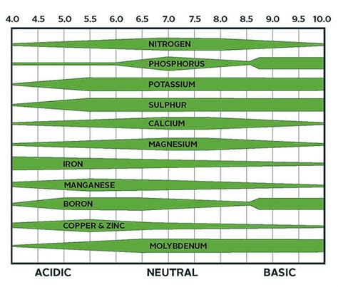 Soil Ph Nutrient Availability Chart