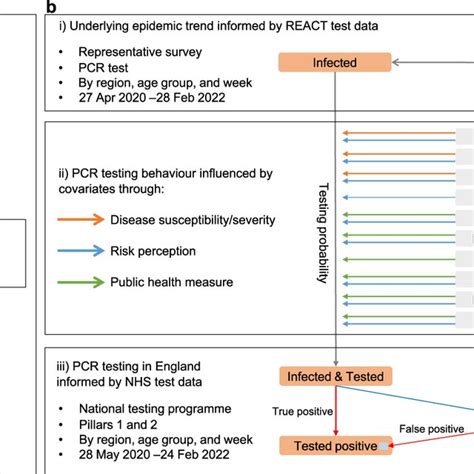 Deviance R Squared Explained During A Forward Stepwise Selection Download Scientific