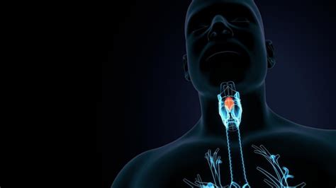 Premium Photo Human Trachea Anatomy 3d Render