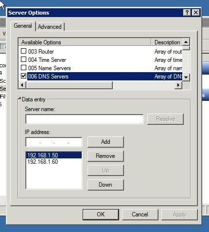 Domain Name System Windows Server R Dhcp Server With Multiple