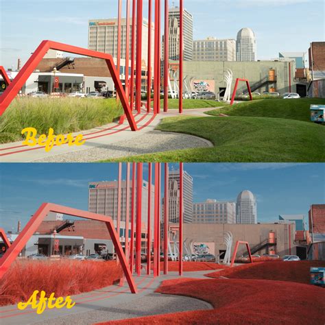 Shop — Dylan Blackburn