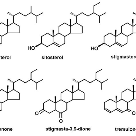 The Structures Of Identified Phytosterols And Steroids Download Scientific Diagram