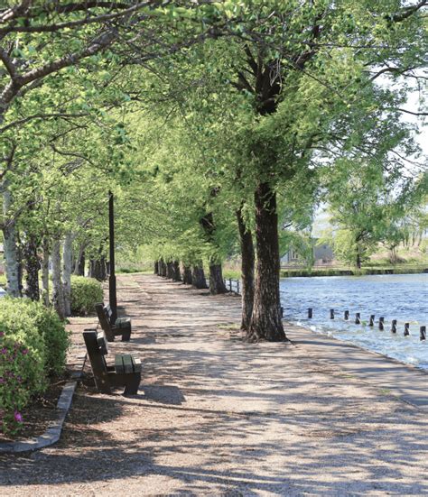 Why Balentine Balentine