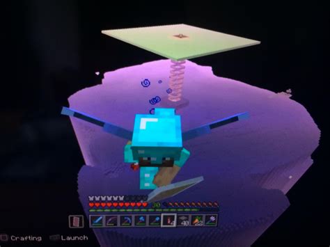 Pretty Proud Of My Enderman Grinder Rminecraft