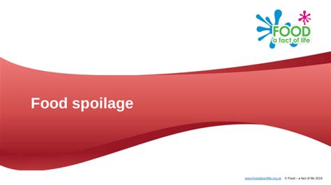Cooking Food Spoilage Powerpoint Teaching Resources