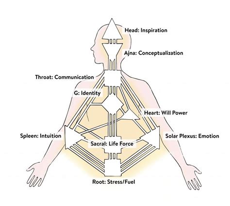 Human Design Chart Symbols Explained Fruitvsa