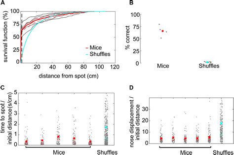Frontiers Mouse Navigation Strategies For Odor Source Localization