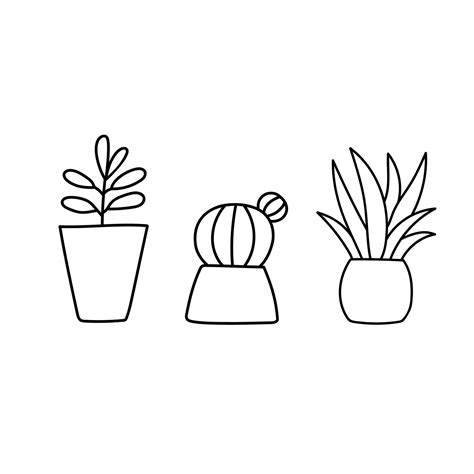 Premium Vector Hand Drawn House Plants In Pots Vector Illustration In