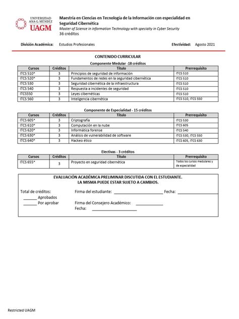 Msit Seguridad Cibernetica Ahora Pdf