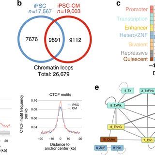 IPSC And IPSC CM Called Loops A Example Contact Maps From IPSCs Left
