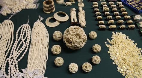 Illegal Ivory Leads 2 To Plead Guilty In New York The New York Times