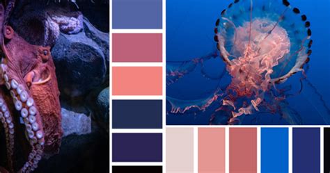 Холодный и теплый синий цвет Lookcolor