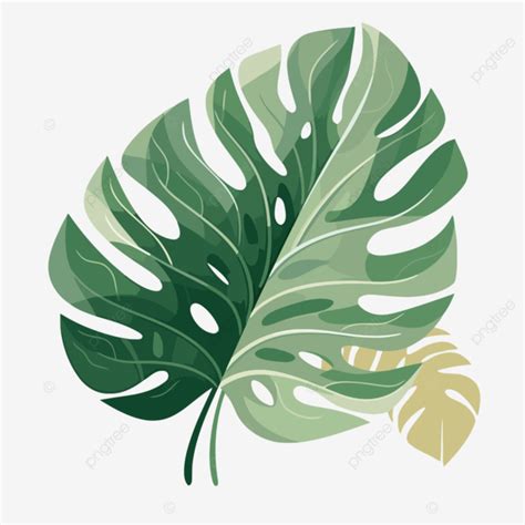 Jungle Leaf Vector Sticker Clipart Green Monstera Leaf On A White