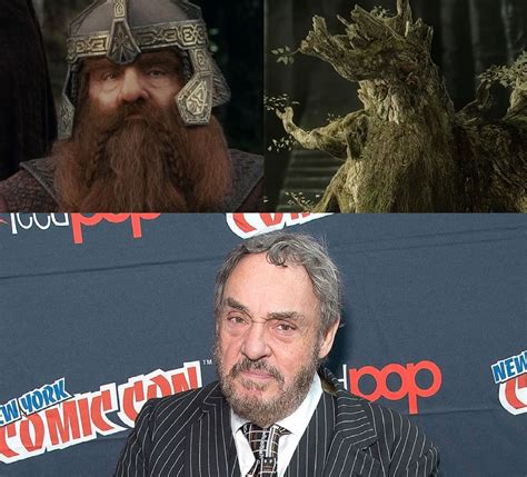 In The Lord Of The Rings Movies Gimli And Treebeard Were Played By