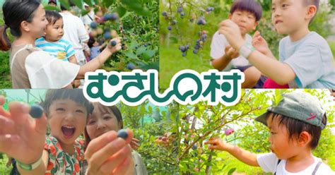 緑の中のファミリーランド むさしの村『ブルーベリー狩り』｜イベント掲示板｜ふらっとろーかる
