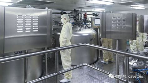 威特十五周年十五载谱写华章 竞风流匠心团队 记中农威特生物科技有限公司生产部 发展