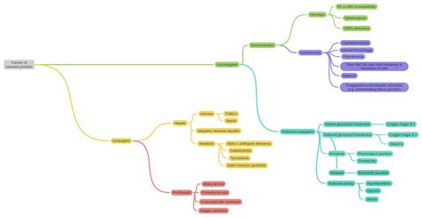 Causes Of Neonatal Jaundice Coggle Diagram
