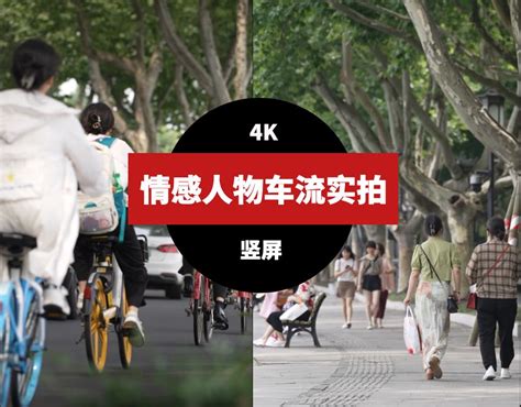 禅意意境视频素材 稻虎网 热门短视频素材库 4k高清无水印素材 自媒体副业资源网