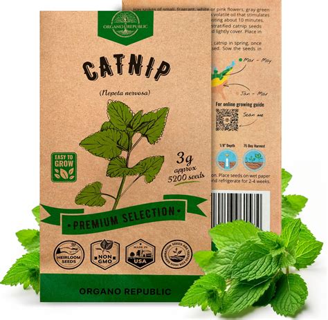 28000 Catnip Seeds For Planting Grow Your Own Catnip To