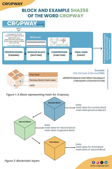 A Closer Look At Blockchain Implementation In Agriculture Risks Opportunities CROPWAY