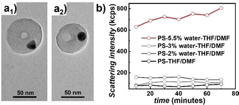 Multicompartmentalized Micellar Structures By Gold Nanoparticles