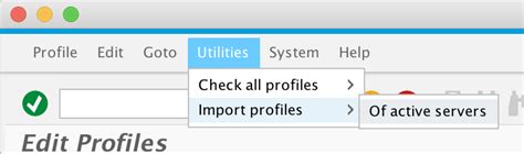 SAP ABAP Central Configure SAPCC NW ABAP For Principal Propagation Docker Network Config