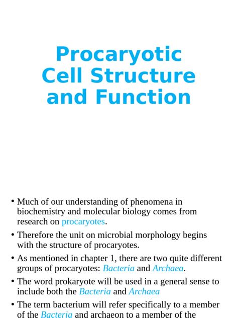 Chapter 3 Procaryotic Cell Structure Pdf Plasmid Bacteria