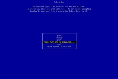 Télécharger Universal Usb Installer Pour Windows Frandroid