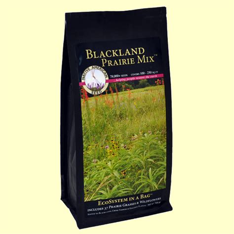 Plants For Birds Blackland Prairie Mix Large Pack Native American Plants For Birds Blackland Prairie Mix Large Pack Native American