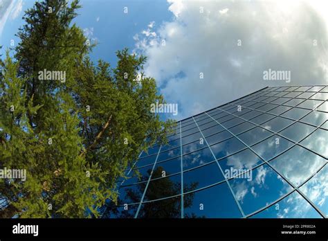 Glass Office Building Windows Clouds Sky Tree Reflection Finance