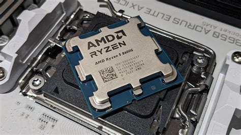 Buy Amd Ryzen 5 8600g Processor With Radeon Graphics Green Apple Compunet