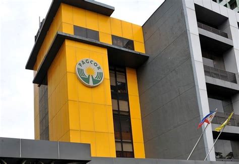 Pagcor Income Soars To P348 Billion In 9 Months