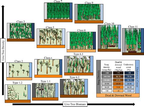 Illustrations Of Structural Classes And Selected Structural Types In