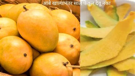 Mango Peel Benefit आंबे खाल्ल्यानंतर साल फेकून देऊ नका जाणून घ्या फायदे