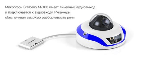 STELBERRY M-100 - Всенаправленный цифровой usb микрофон для записи ...