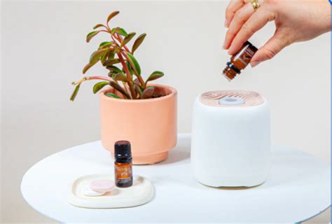 19 Best Essential Oil Diffusers For Home Aromatherapy 2022 Parade
