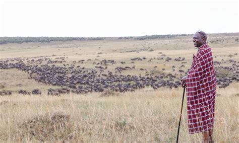 Knec Publishes 2025 Kcse Timetable Kenya Insights