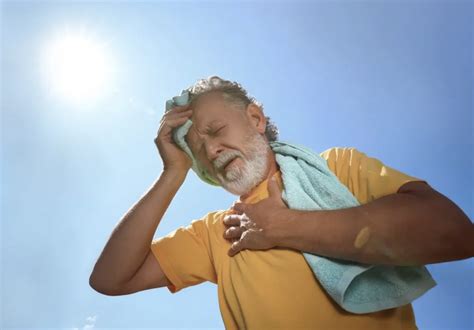 El Estrés Térmico Otra Afectación Del Calor