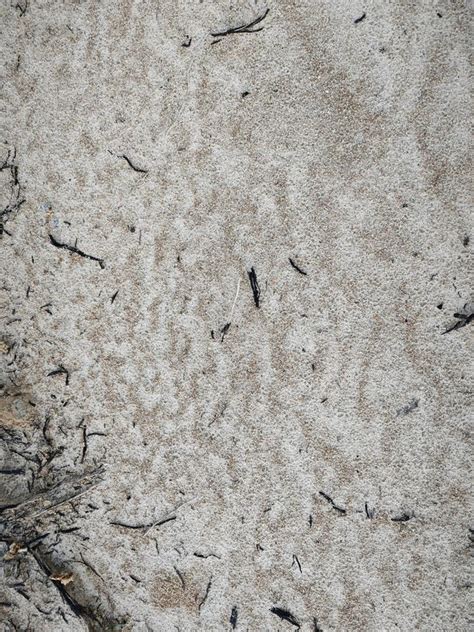 The Texture Of The Surface Soil Exposes To Erosion Stock Image Image