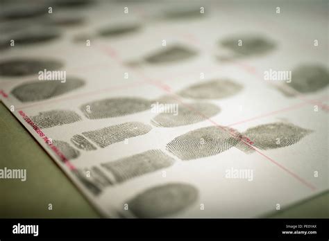 Physiological Biometrics Concept Of Criminal Record By Suspect