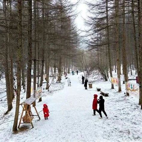 31℃！陕西多地迎入冬最低气温！秦巴山区小到中雪影响气象预报