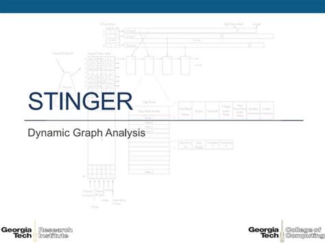 Introduction To Stinger Ppt
