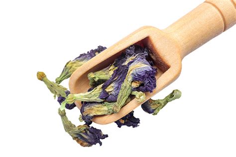 건강한 말린 나비 완두콩 차 클리핑 경로와 함께 흰색 배경에 나무 국자 나비 완두콩의 드라이 플라워 허브 차와 꽃 차 개념 0명에 대한 스톡 사진 및 기타 이미지 Istock