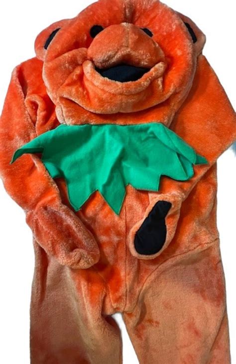 Grateful Dead Dancing Bear Costume